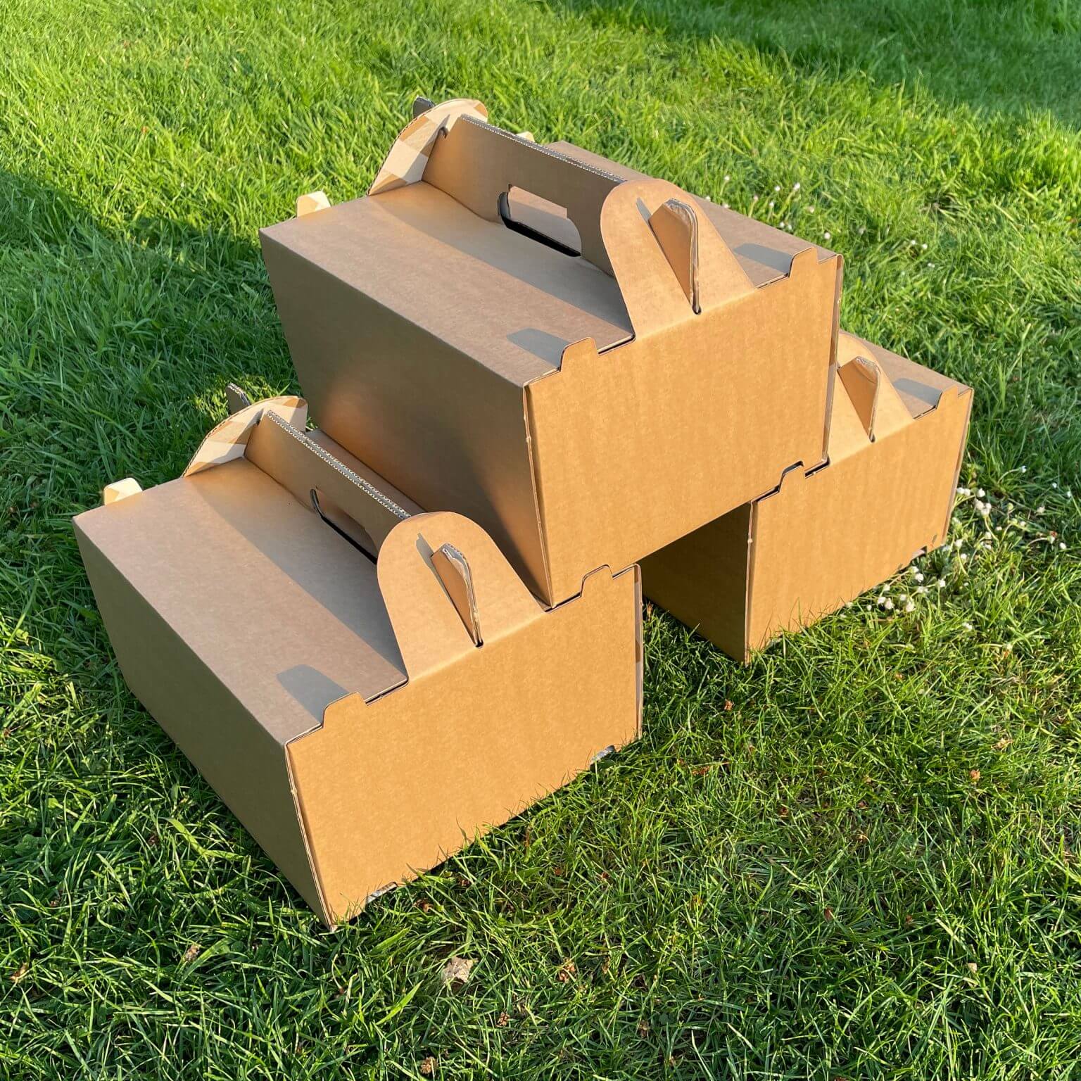 Budget Picknick Box zum Mitnehmen Picknickkorb aus Pappe